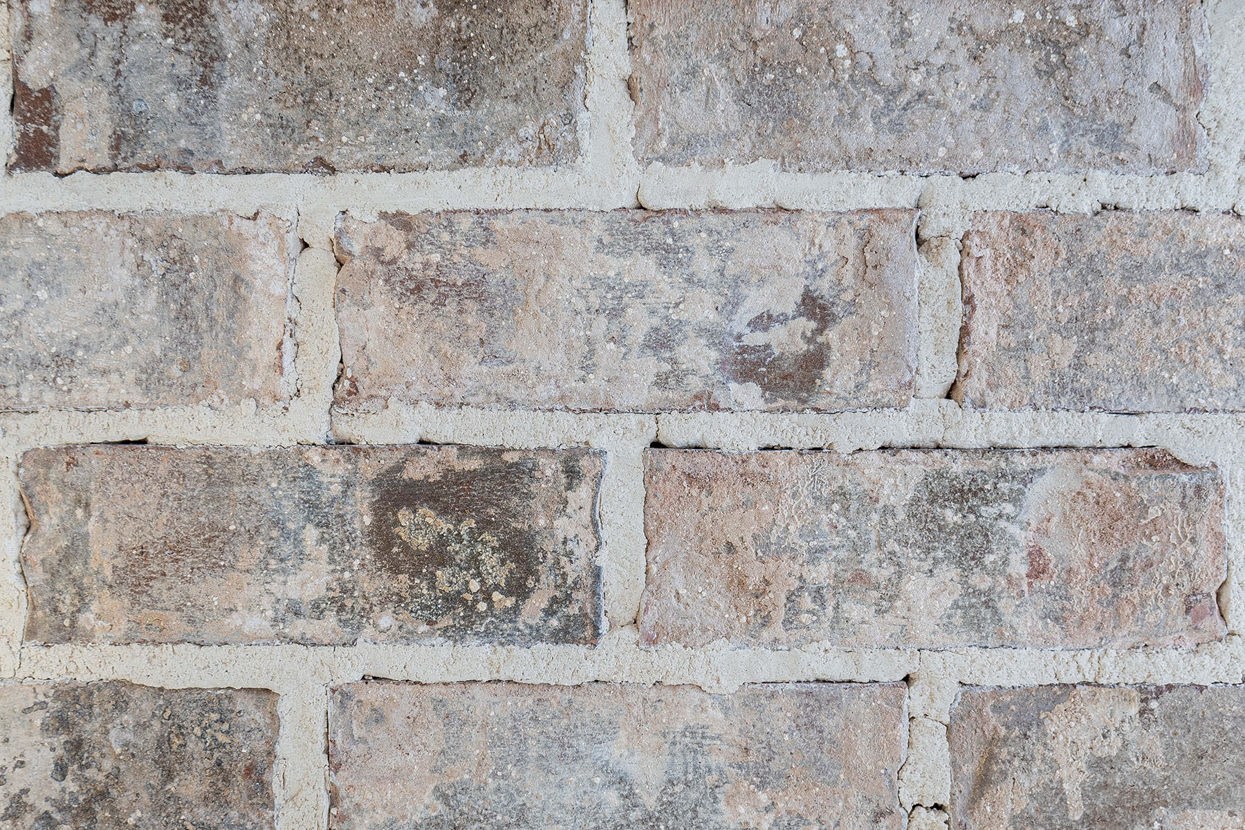 Ansley Park- Georgia Classic Collection Cherokee Brick