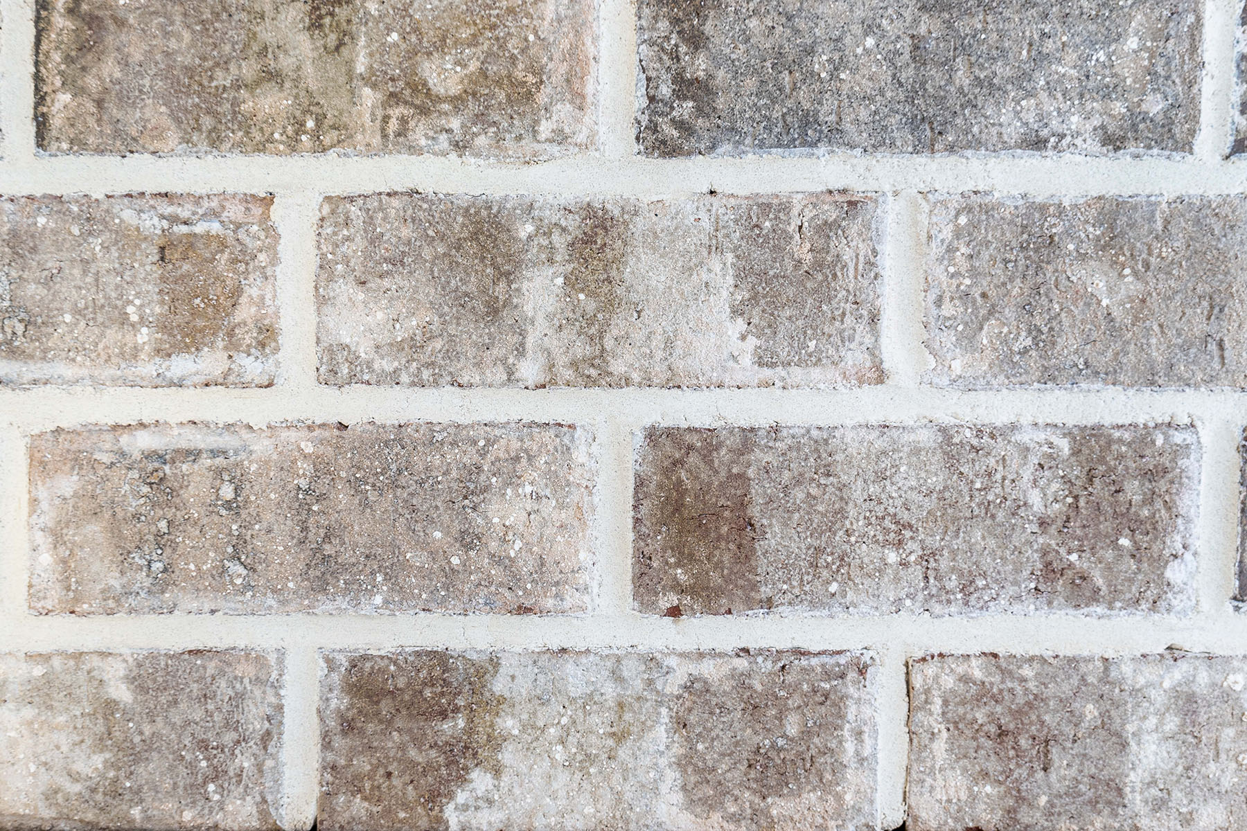 Augusta Georgia Classic Collection