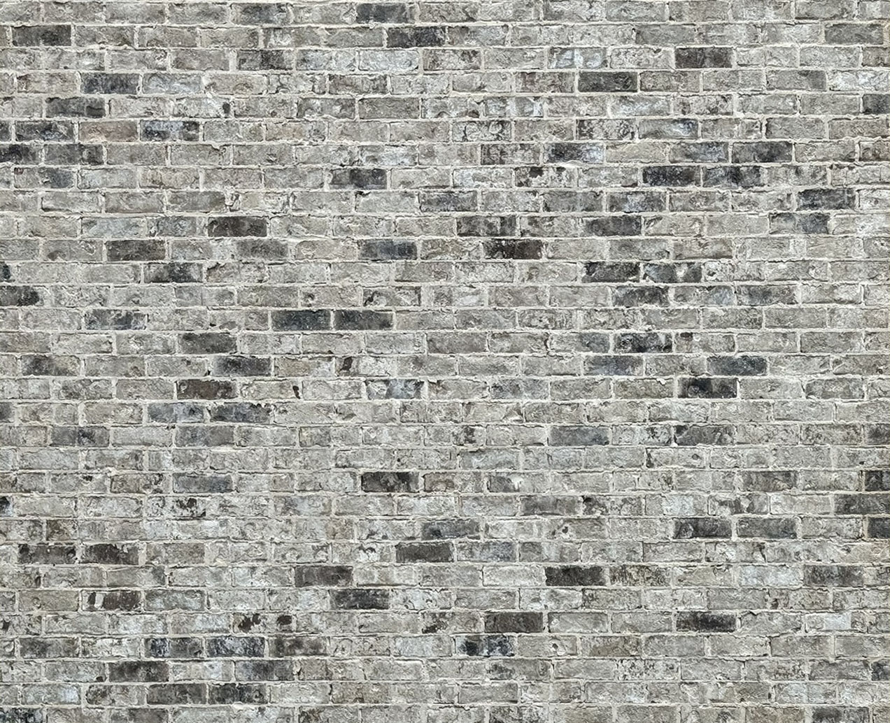 Georgia Classic Collection