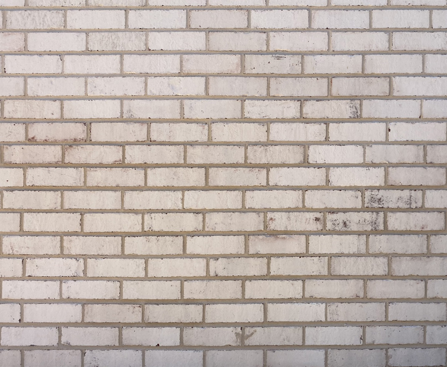 Georgia Classic Collection