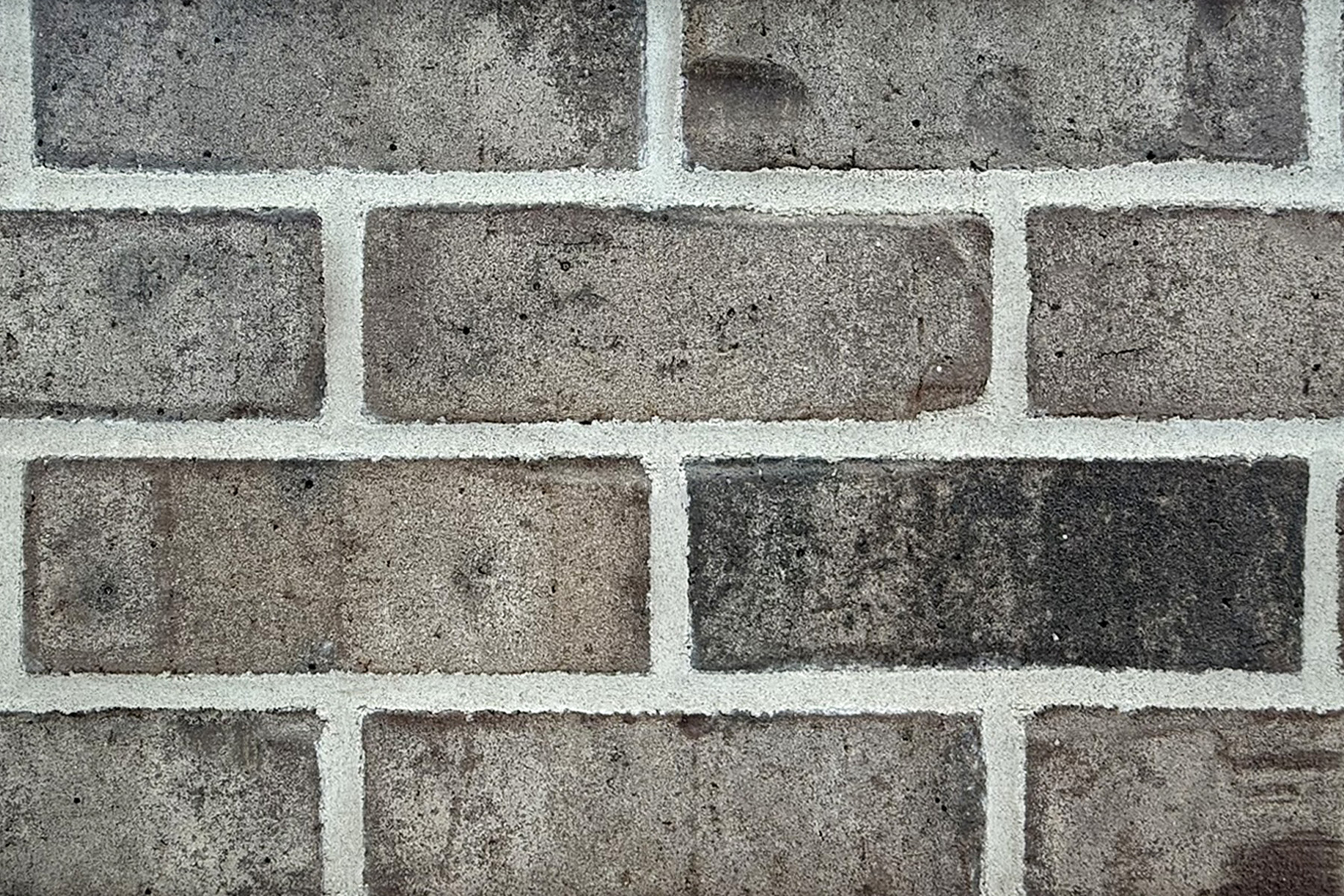 Georgia Classic Collection