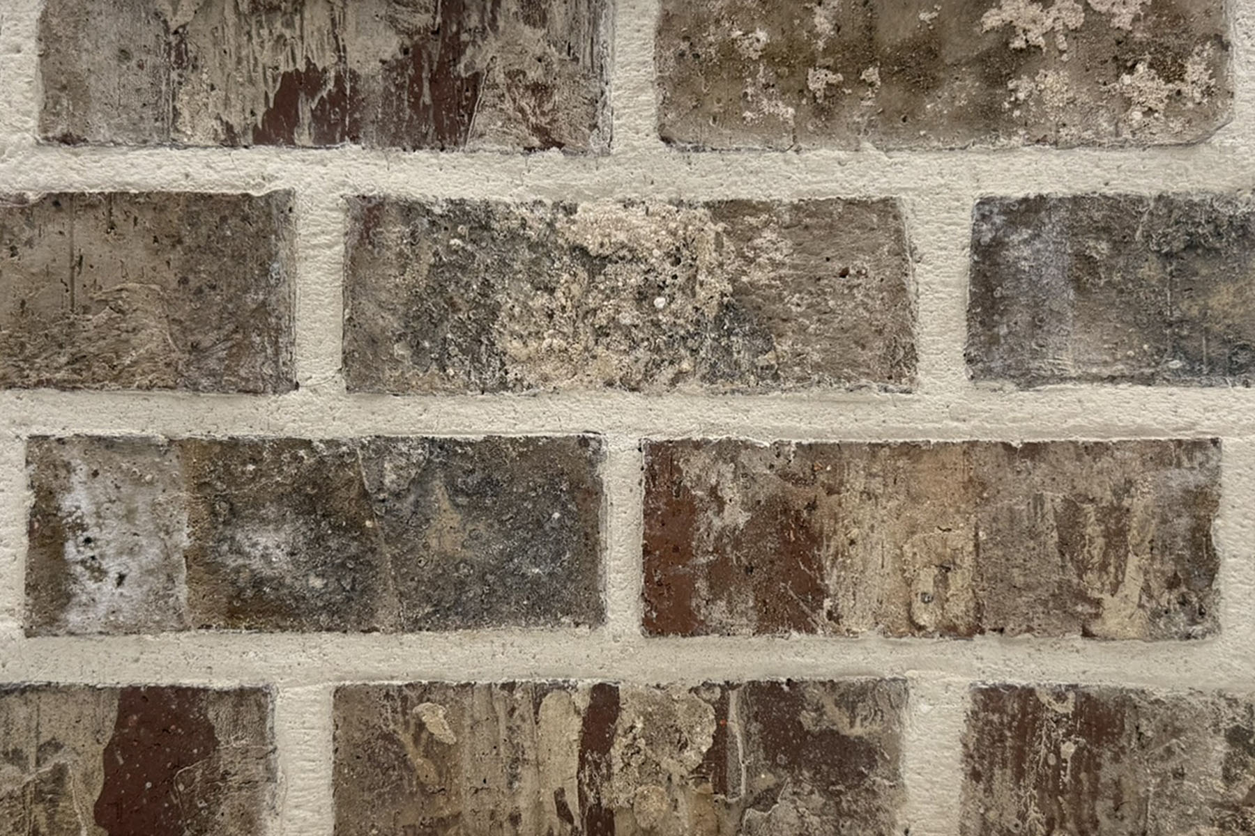 Shellman’s Bluff Brick | Classic Collection by Cherokee Brick