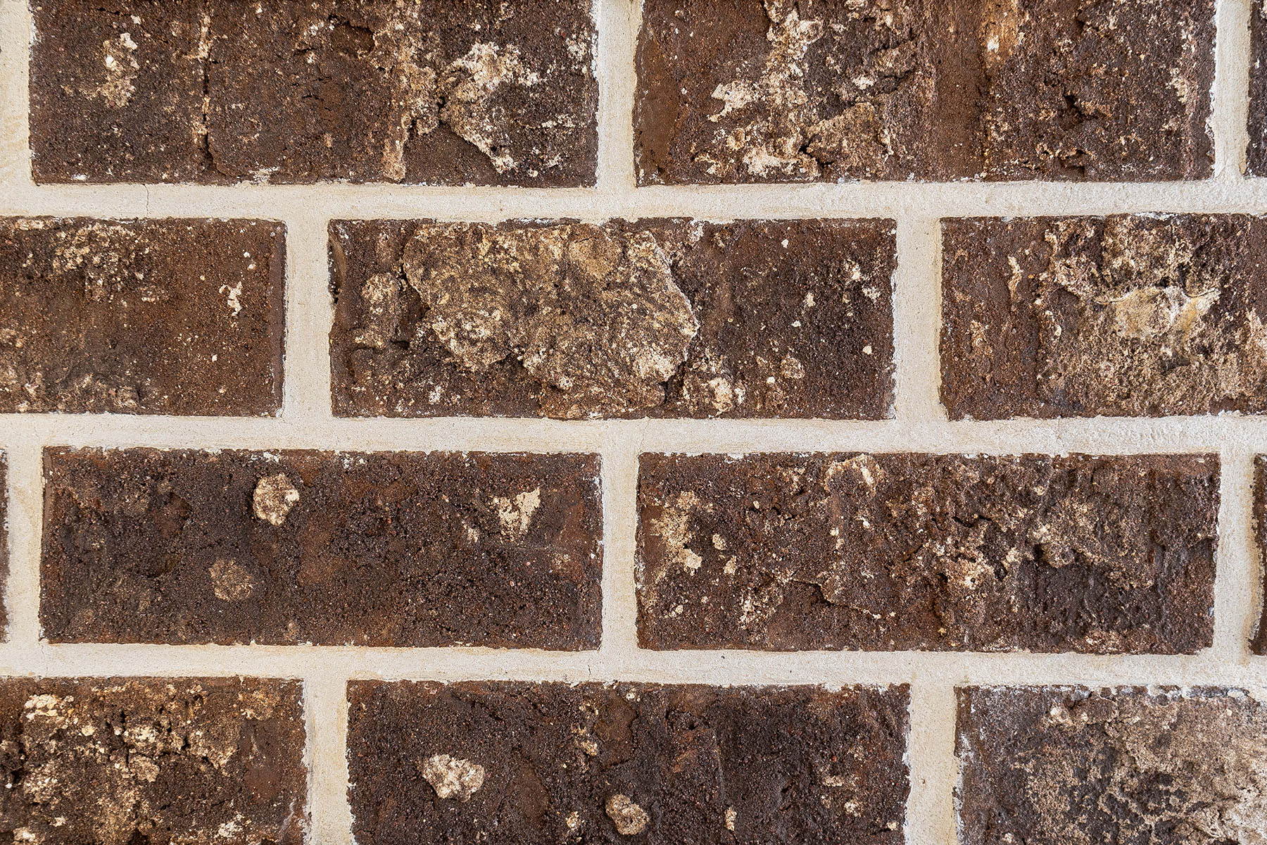 Georgia Classic Collection