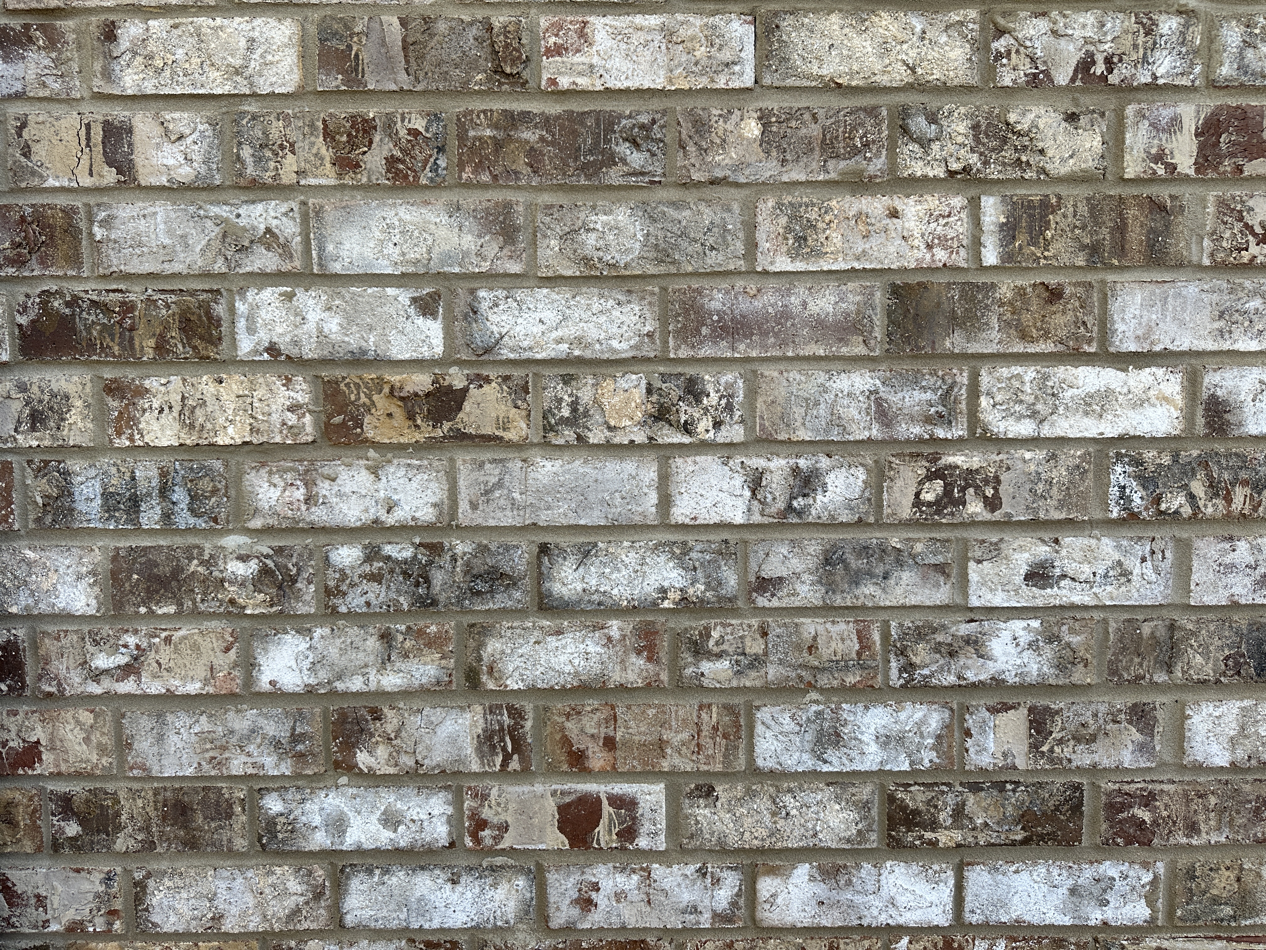 Shellman’s Bluff Brick | Classic Collection by Cherokee Brick