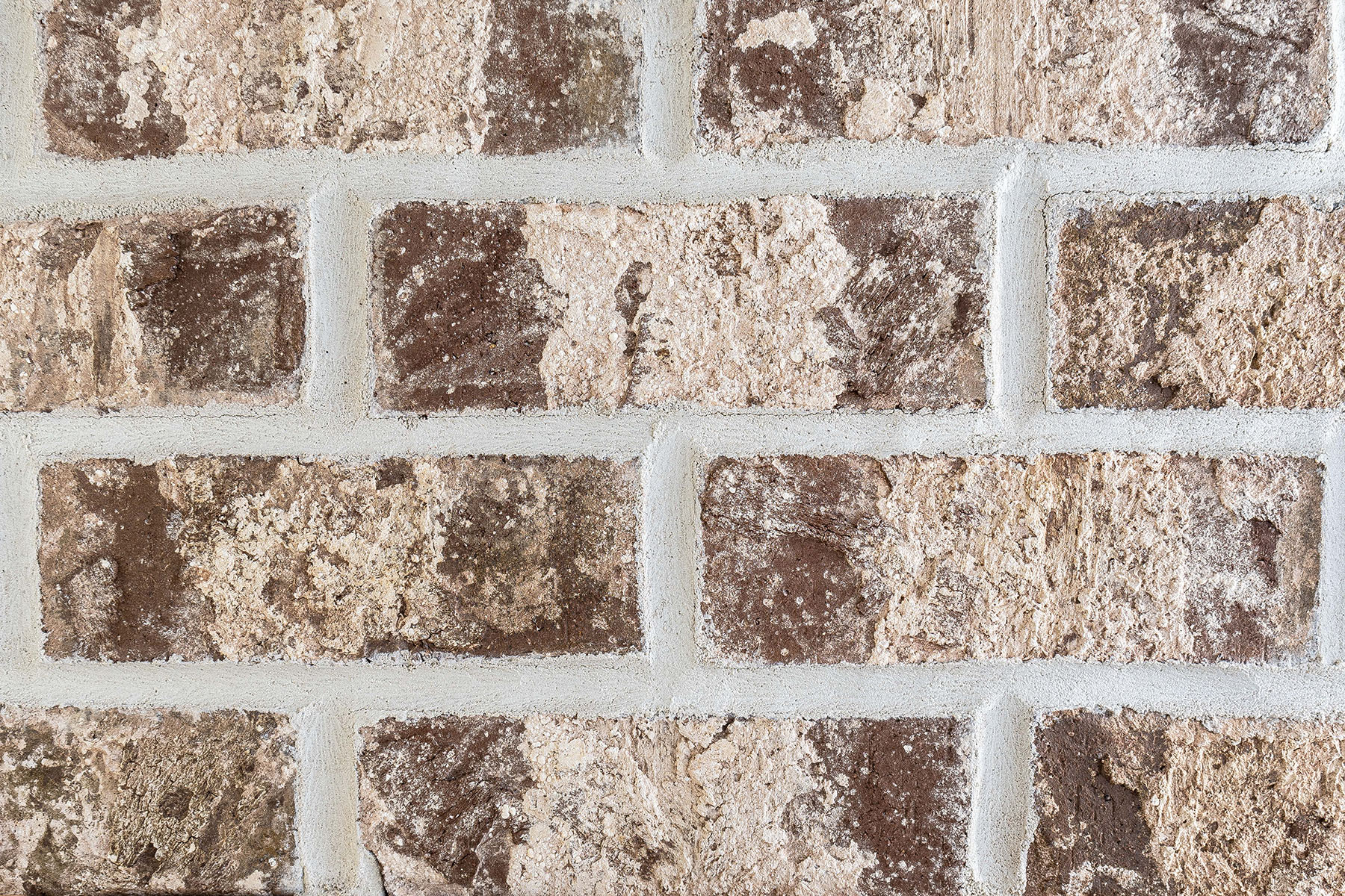 Georgia Classic Collection